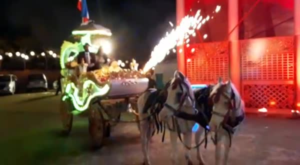Nice Celebration Horse Supplier (Closed Down) in Charmahal Petla Burj ...